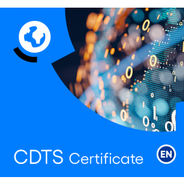 CDTS - Certificate in Digital Trade Strategy | ICC Knowledge 2 Go ...
